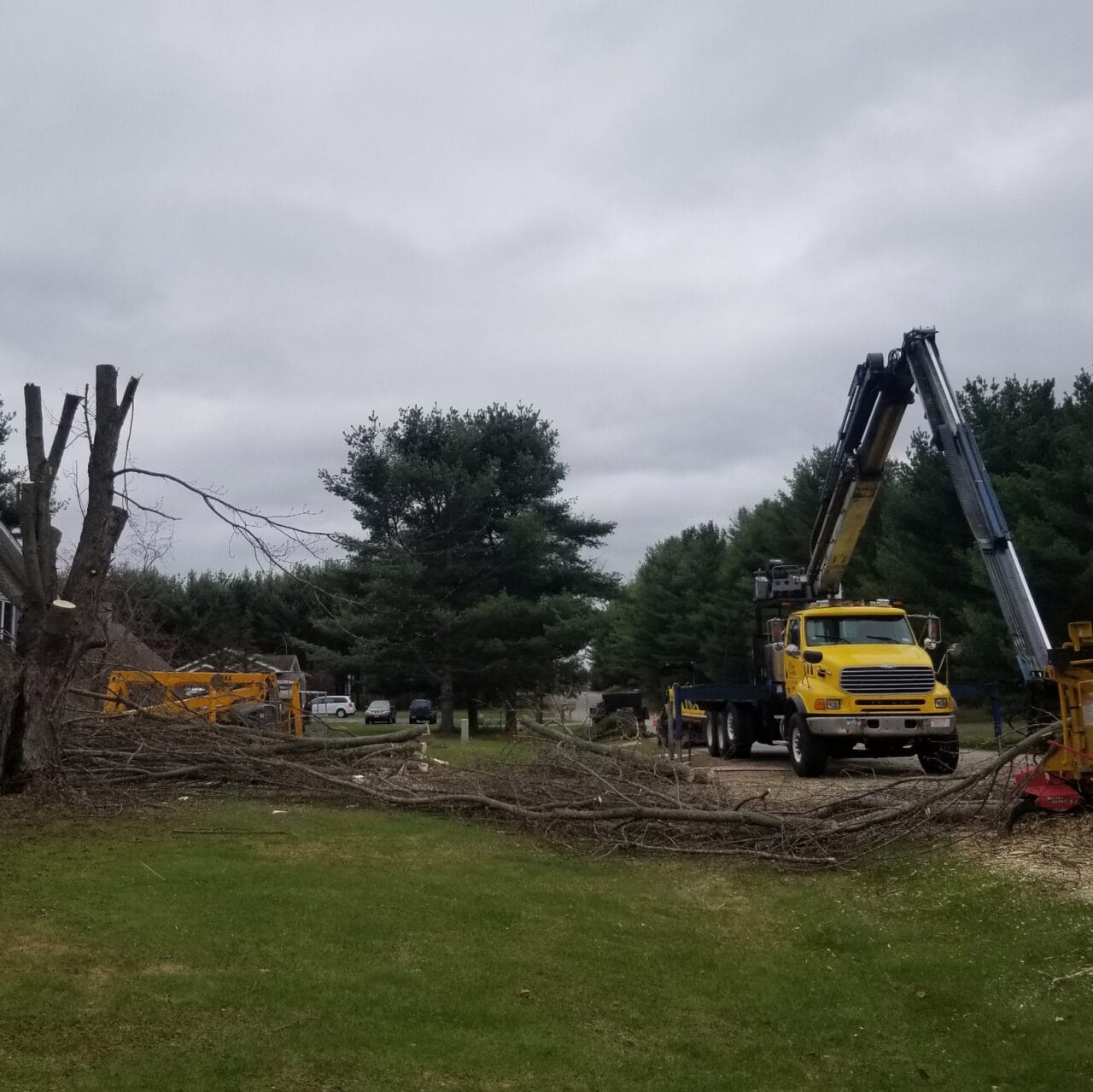 Storm Cleanup - Tree Fella Co.