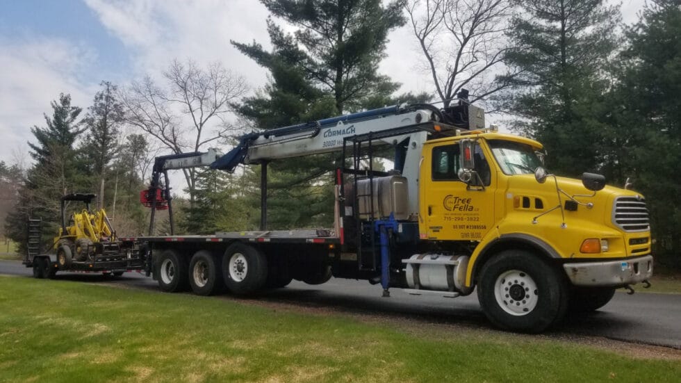 About - Tree Fella Co.